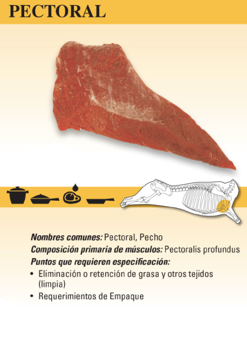 Especificaciones-pectoral - Canadian Beef