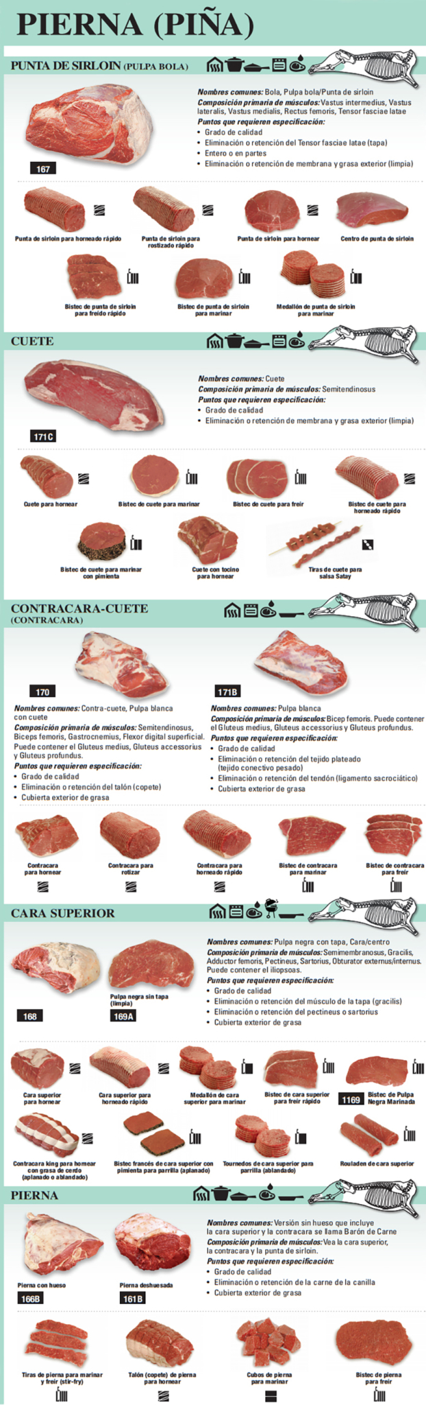 cuts-by-color-green - Canadian Beef