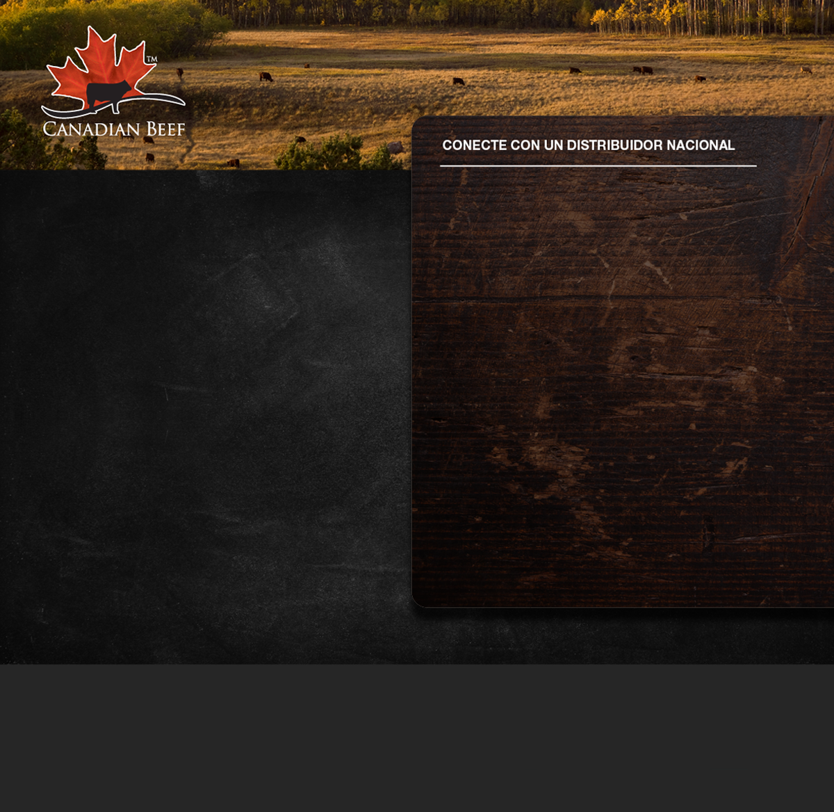 Background - Canadian Beef