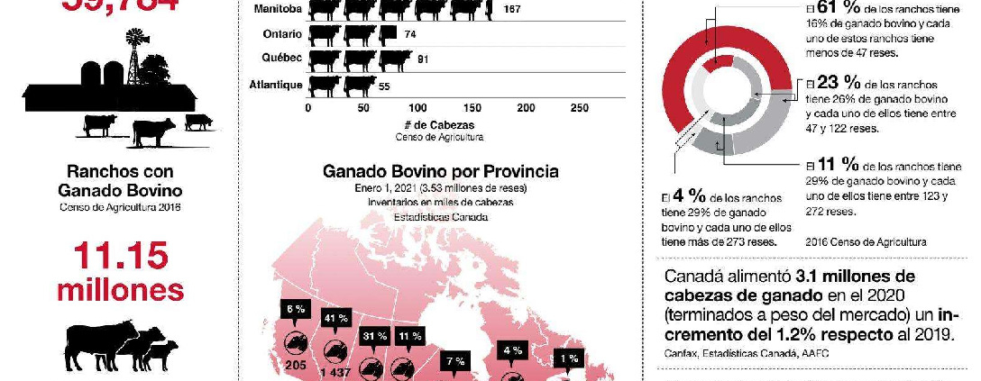 Canada-Beef-Fast-Fact-Sheet-2021 - Canadian Beef